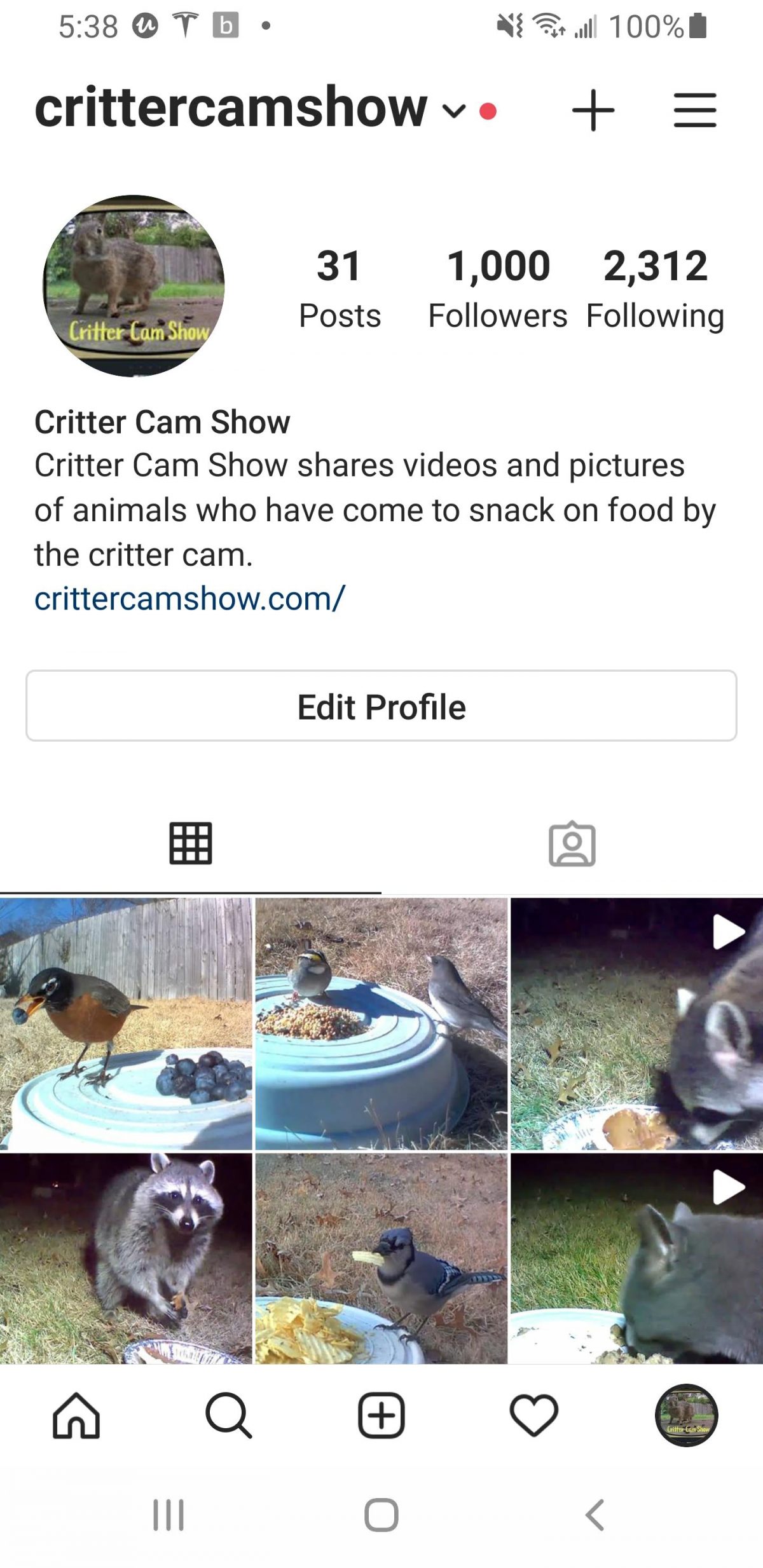 News Archives - Critter Cam Show